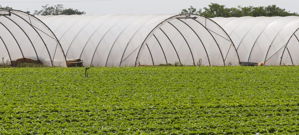 Agricultural Nylon or Wide Agricultural Nylon – buildlandco